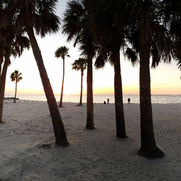 Photos at Fred Howard Park Beach - Beach