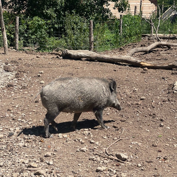 Parc Animalier de Sainte-Croix - Domaine de Sainte Croix