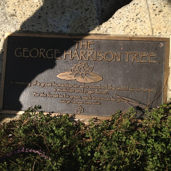 Photos at The George Harrison Tree - 2 tips