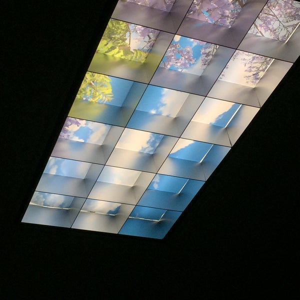 Adorjan Hall - Midtown - 1 tip from 103 visitors