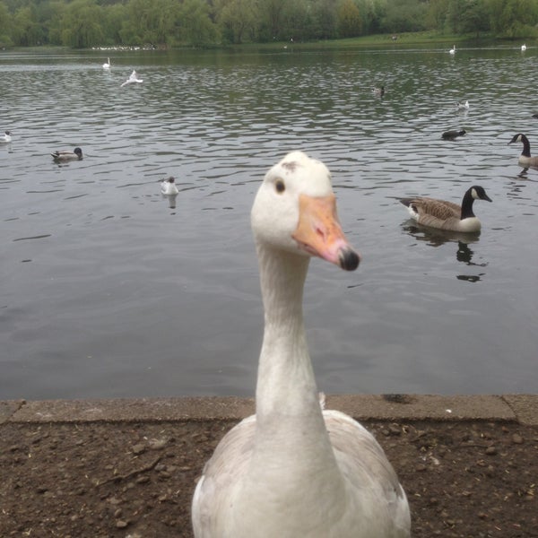 Moses Gate Country Park - Off Hall Lane