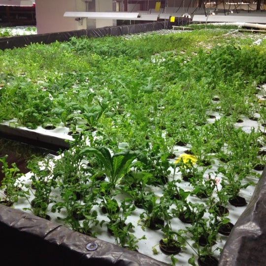 The Plant Chicago - Back of the Yards - 1400 W 46th St