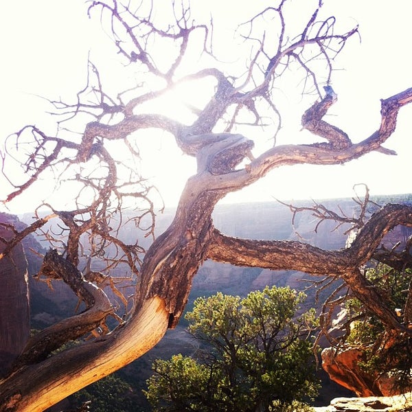Spider Rock Campground - Canyon da Chelly National Monument