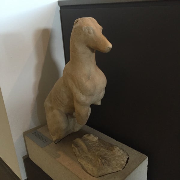 Photos at Αρχαιολογικό Μουσείο Πέλλας (Archaeological Museum of Pella ...