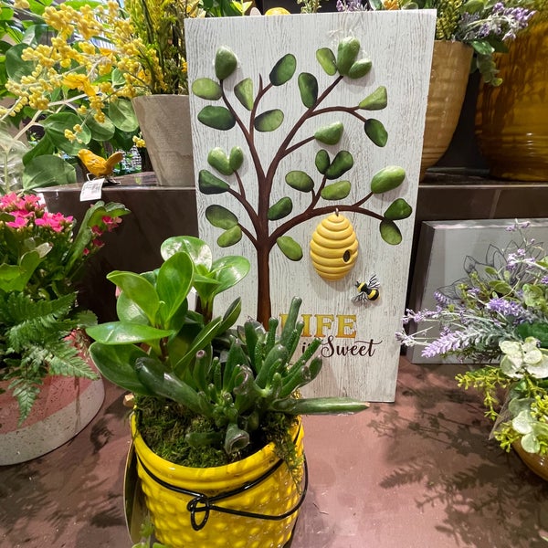 Fortinos Flowers Maple | Best Flower Site