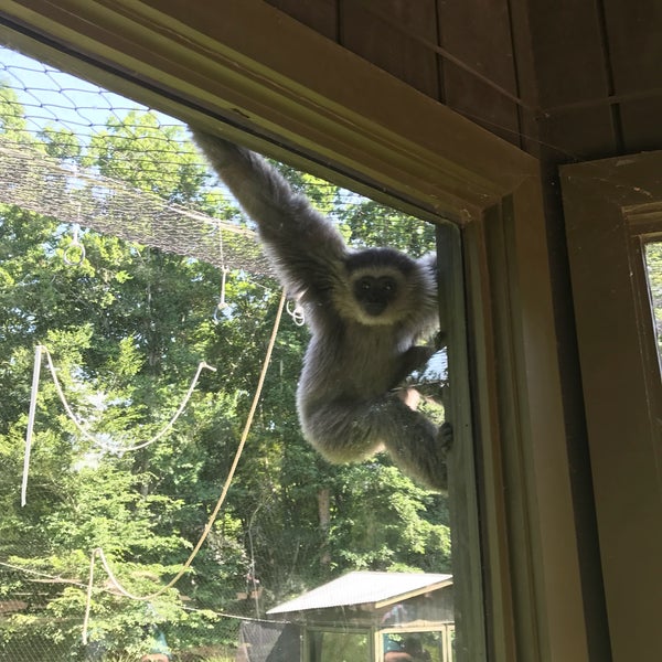 Greensboro Science Center - 45 tips from 2190 visitors