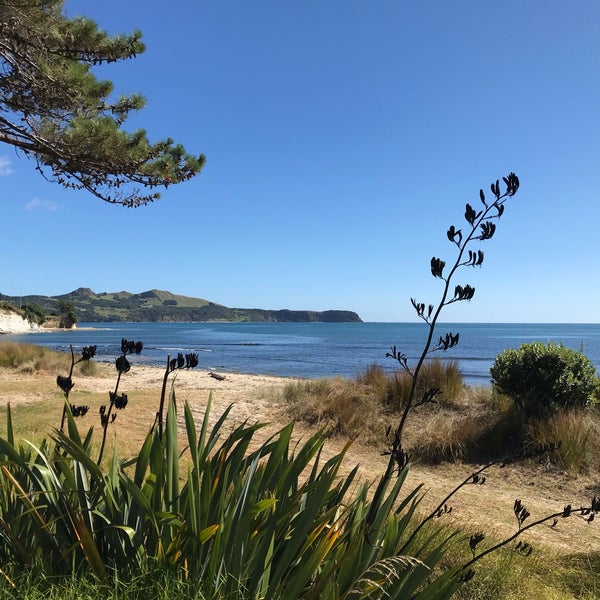 Opononi - 2 tips from 109 visitors