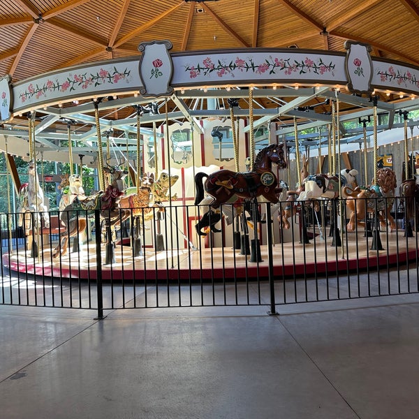 Rose Carousel - Amusement Park