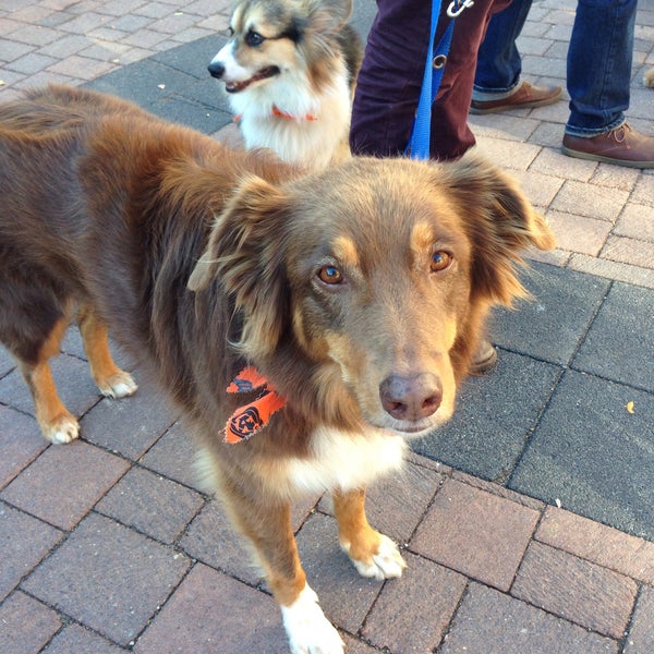 Softchoice - Office in Liberty Village