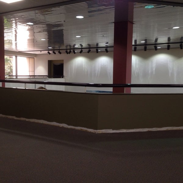 LLU Del E Webb Memorial Library - College Library in Loma Linda