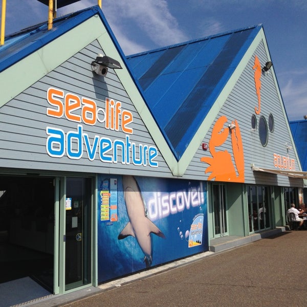 Photos at Sea Life Adventure - Aquarium in Southend-on-Sea