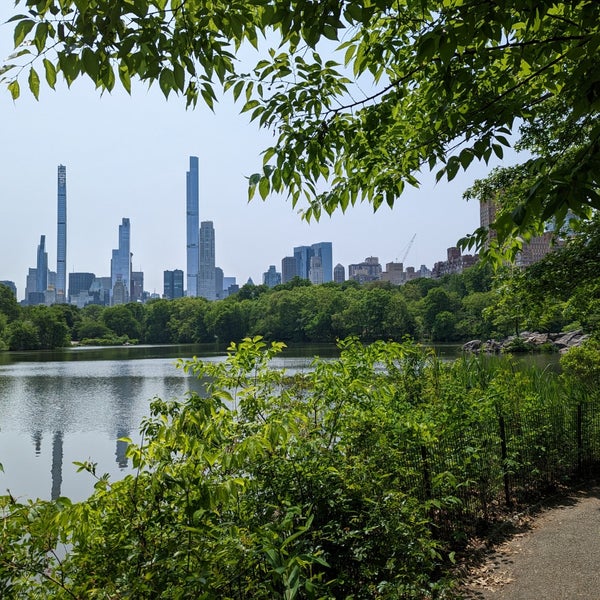 Photos at The Ramble - Central Park - New York, NY
