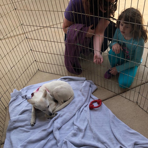 PetSmart - 2 tips from 357 visitors