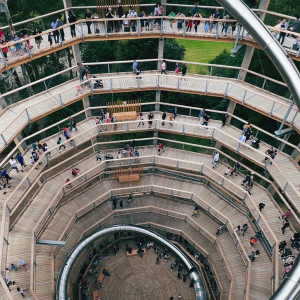 Beyond The Trees - 1 tip from 21 visitors