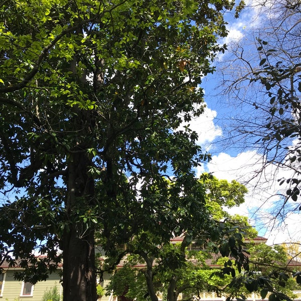 The McDonald Mansion - Historic and Protected Site in Santa Rosa