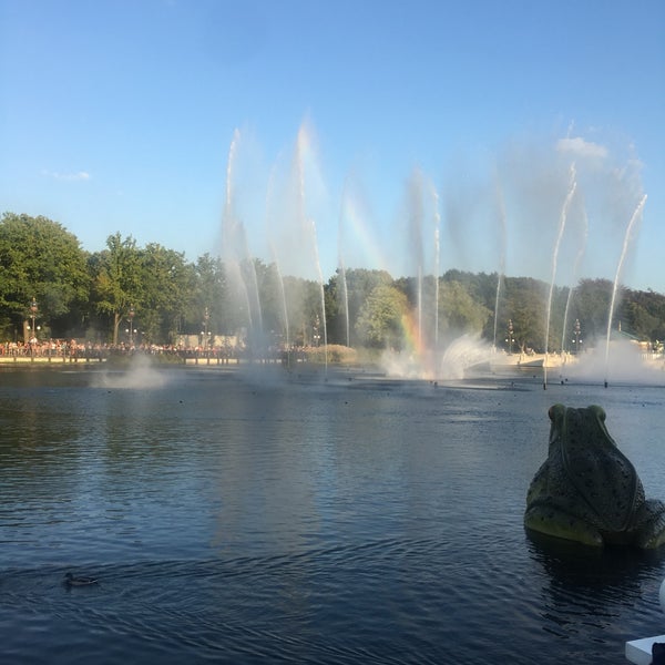 Roeivijver - Lake