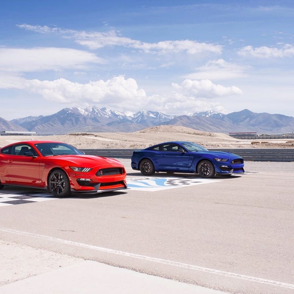 Mike Murphy Ford Inc - Car Dealership in Morton