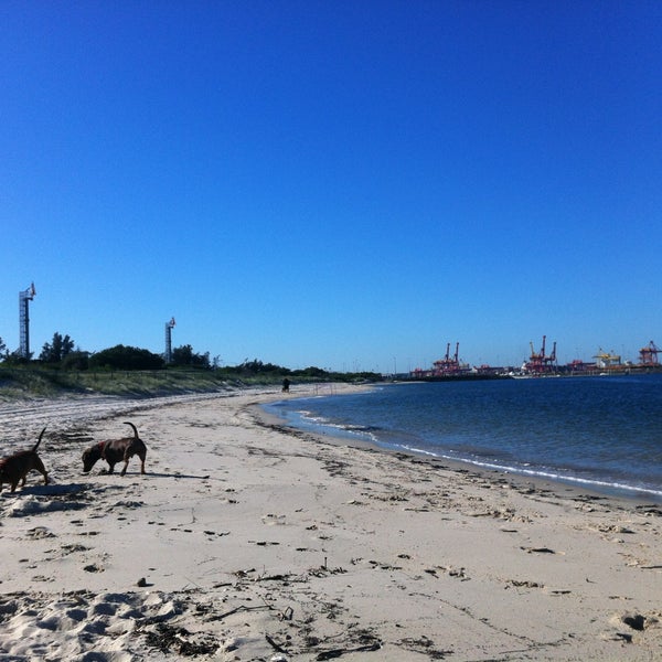 Foreshore Road Beach - Botany - 4 tips from 72 visitors