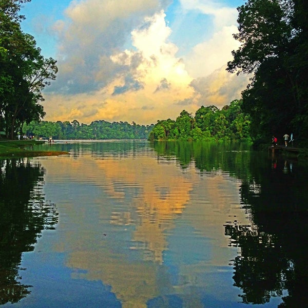 MacRitchie Nature Trails - Central Catchment Nature Reserve - 26 tips ...