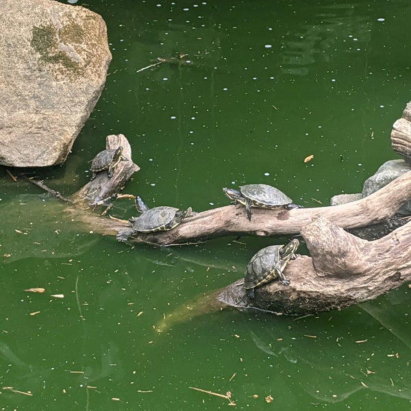 Rescate Wildlife Rescue Center - Zoo in La Garita