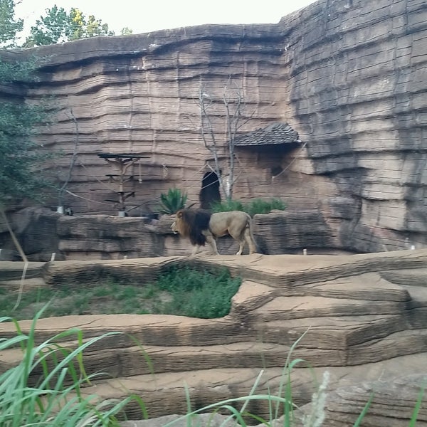 Lions Den