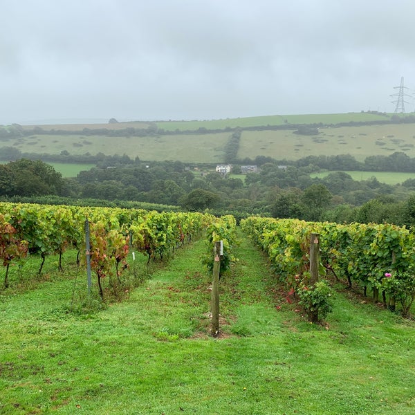 Camel Valley Vineyard - 7 tips from 170 visitors
