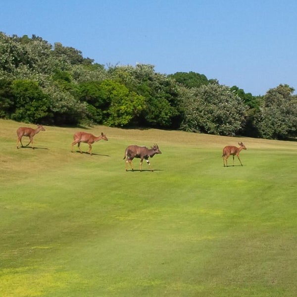 East London Golf Club - 3 tips