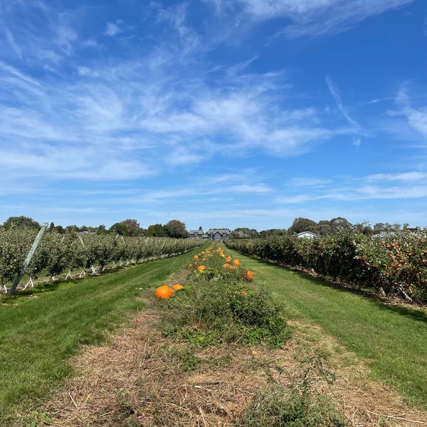 Milk Pail Farms - Watermill, NY