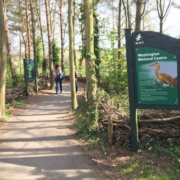 Washington Wetland Centre - Nature Preserve in Washington