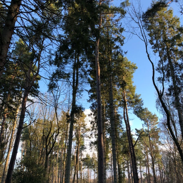 The Derwent Walk Country Park - Winlaton Mill