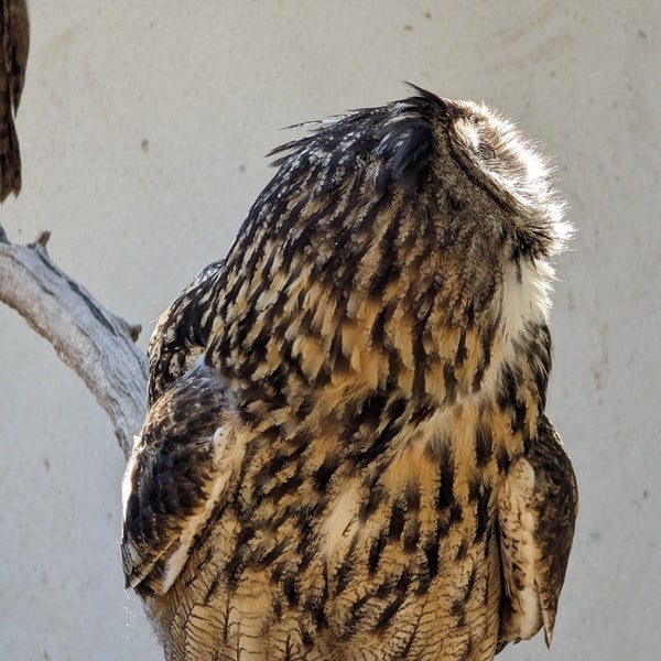 Vogelpark Friedrichstal - Zoo Exhibit in Stutensee