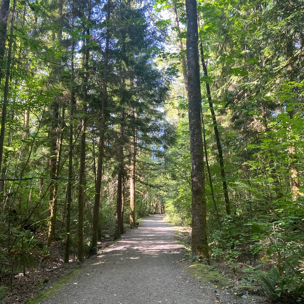 Coquitlam River Trail - 7 tips from 205 visitors