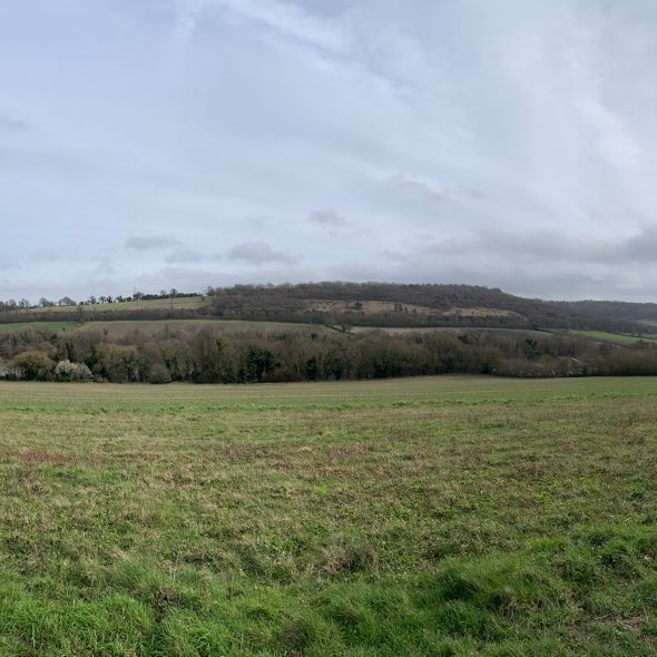 Lullingstone Country Park - Park