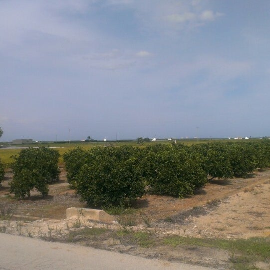 Parque central almussafes - Almussafes, Valenciana
