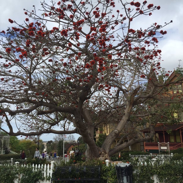 Photos at Coral Tree Tea House - Old Town - 2 tips