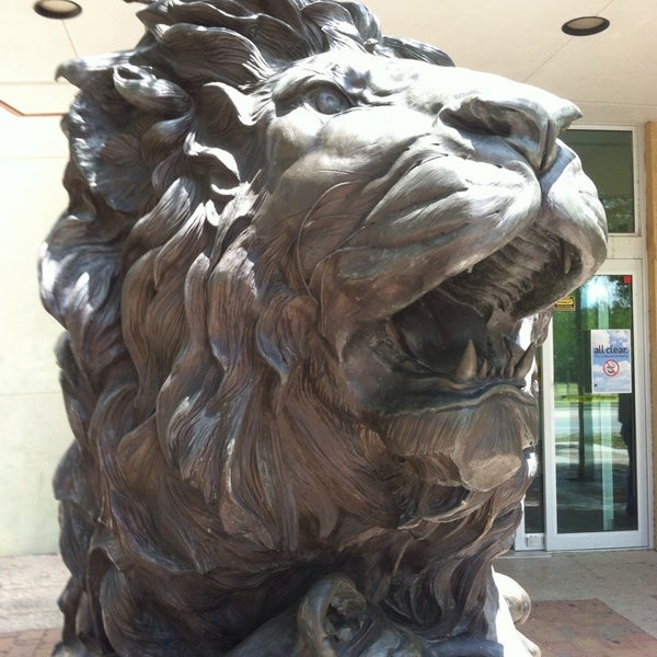 Photos at Windsor Park Branch, Austin Public Library - Windsor Park ...