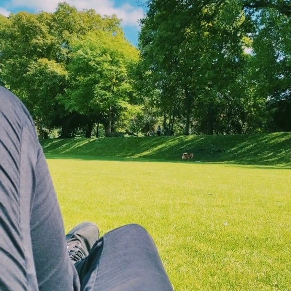 Photos at Iveagh Gardens - South-East Inner City - 26 tips from 1968 ...