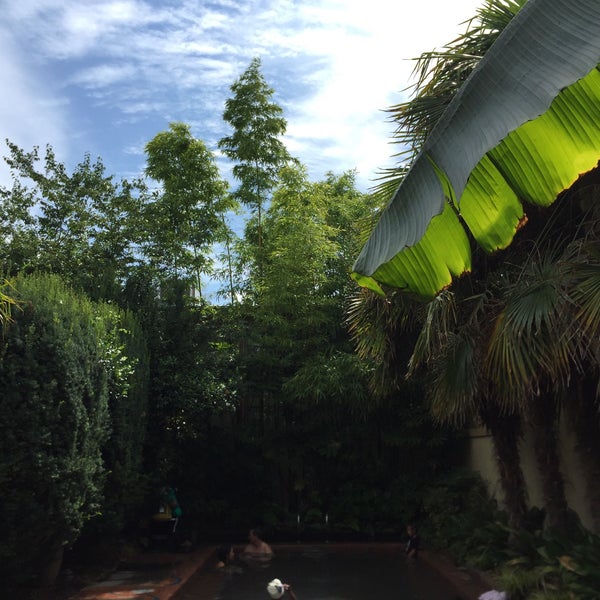 Photos at McMenamins Kennedy School Soaking Pool - 5736 NE 33rd Ave