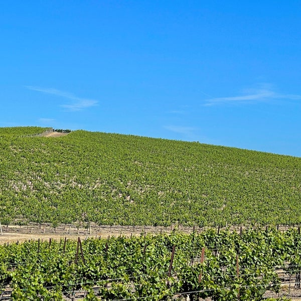 Windows XP Bliss Photo Location - Scenic Lookout