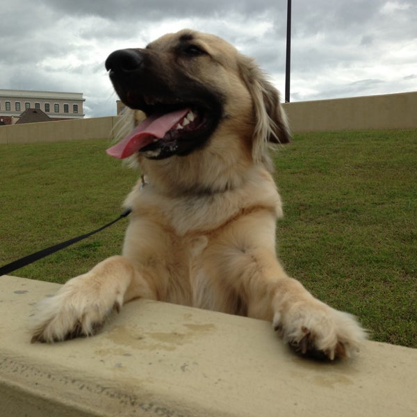 River Ranch Town Square - Shopping Mall