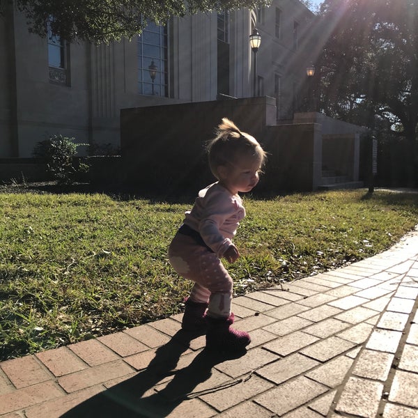 Armstrong Browning Library - College Library in Baylor