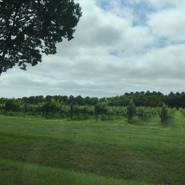 Wedmore Place - 5810 Wessex Hundred