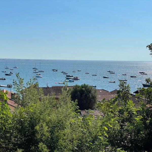 Le Canon - 3 tips from 445 visitors