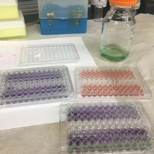 Funchess Hall - 5 tips from 144 visitors