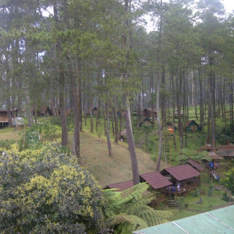 Grafika Cikole Camp Area - 31 tips from 3190 visitors