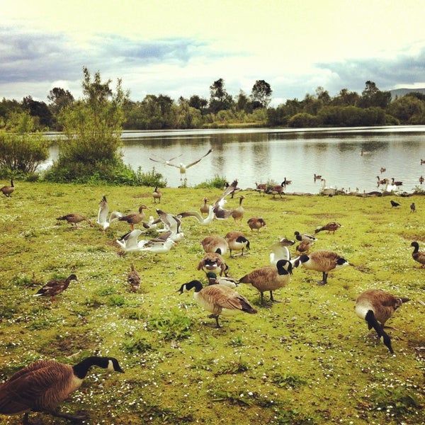 Photos at Duddingston Loch - Lake in Edinburgh
