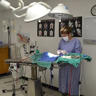 Good Shepherd Veterinary Hospital - Kanawha City - 3 tips from 34 visitors