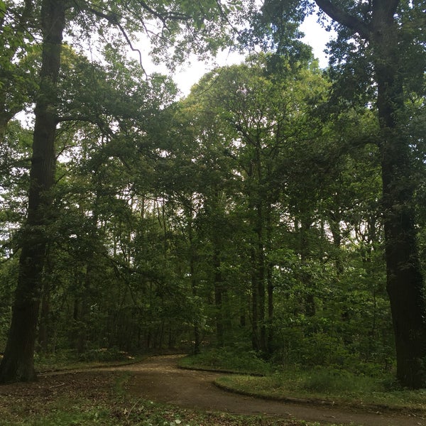 Parc Forestier de la Mare Adam - Chaville, Île-de-France
