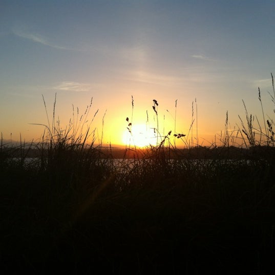 Musick Point - Bucklands Beach - 6 tips from 138 visitors