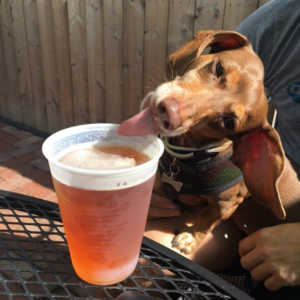 Stella's Station - Sports Bar
